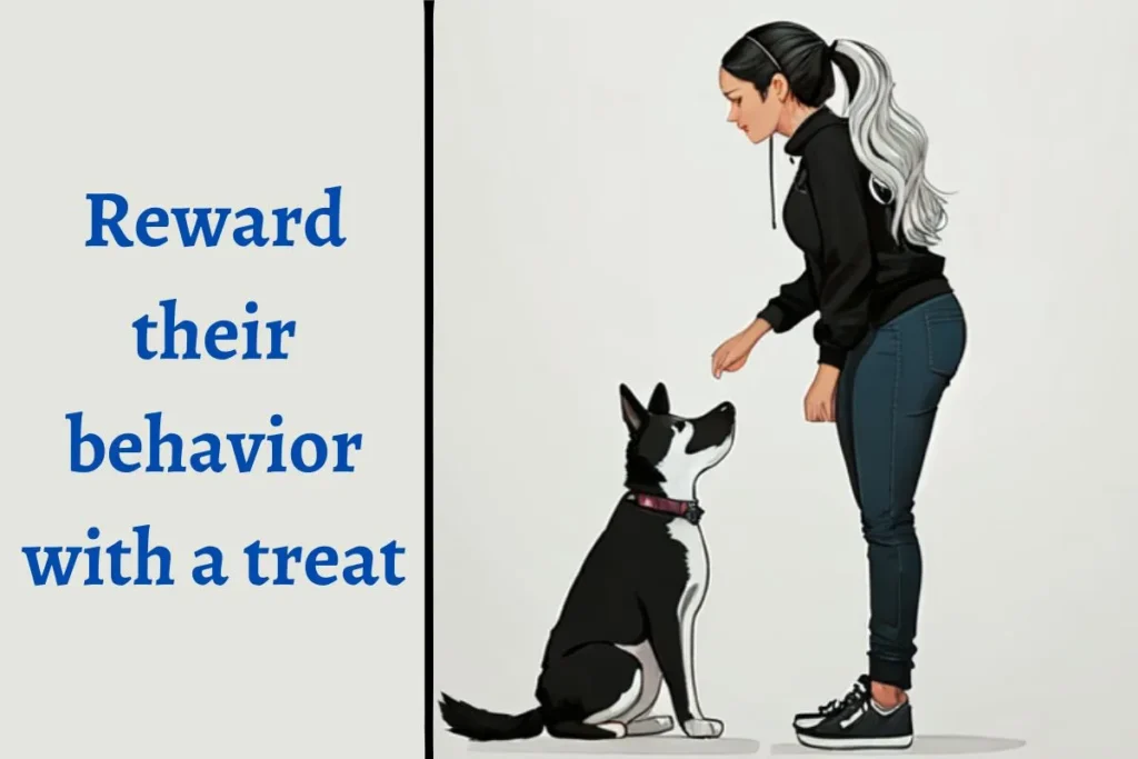 How to Teach a Dog to Stay (5 Steps) - DogHIB