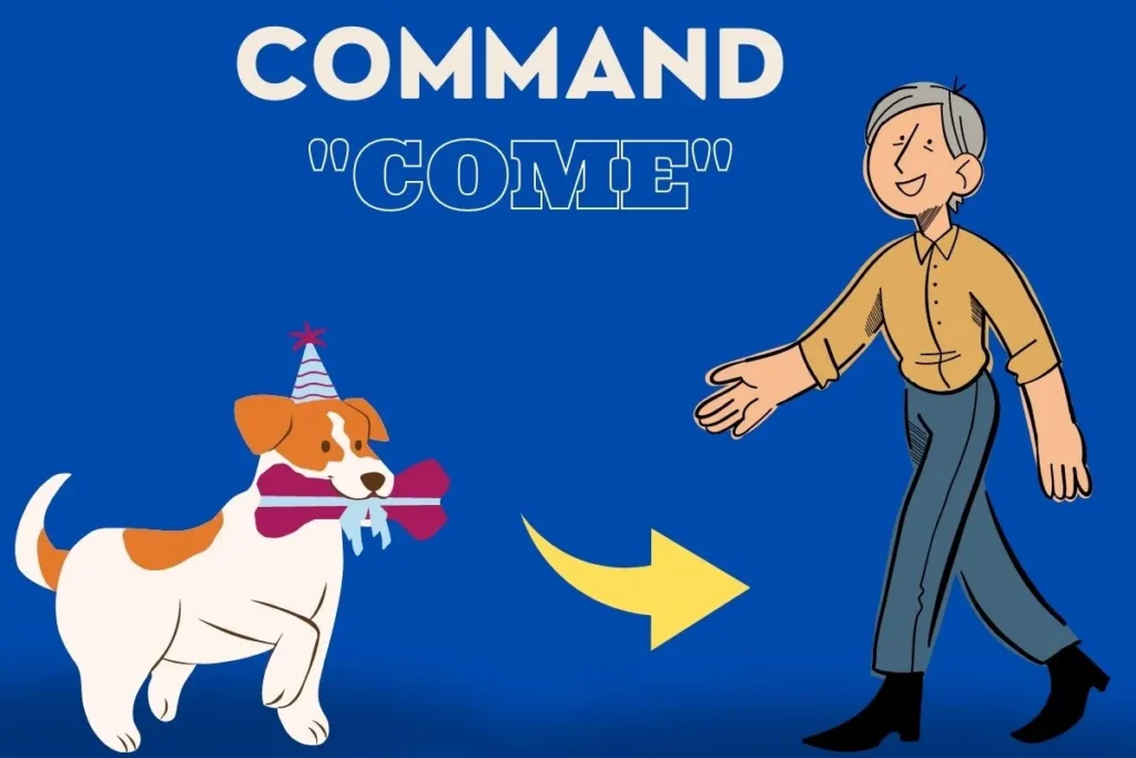 How to Teach a Dog Their Name (5 Steps) - DogHIB