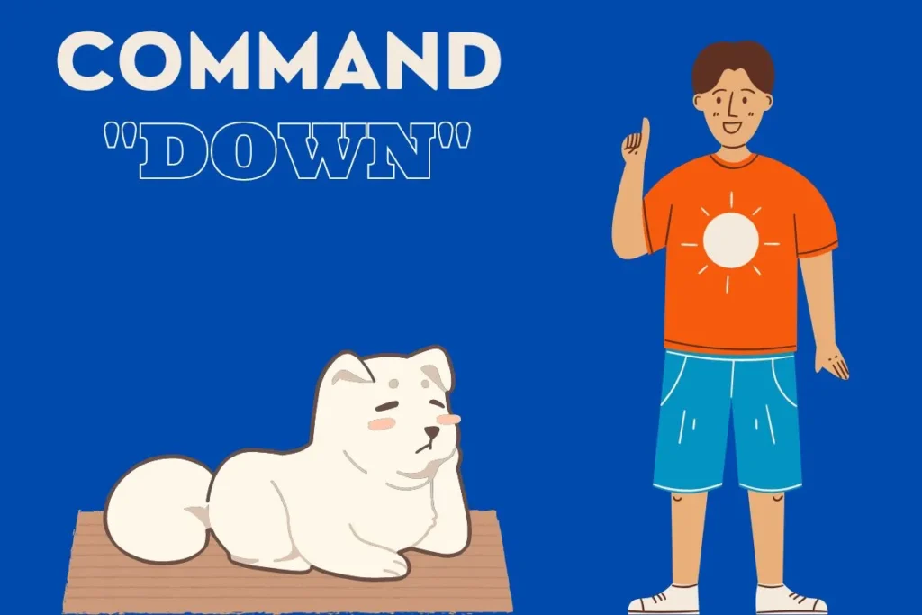 How To Teach A Dog To Lay Down 4 Steps DogHIB How To Teach A Dog To Lay Down 4 Steps DogHIB