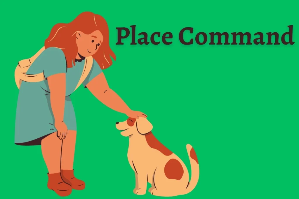 How to Train Your Dog to Place in Just 30 Minutes - DogHIB